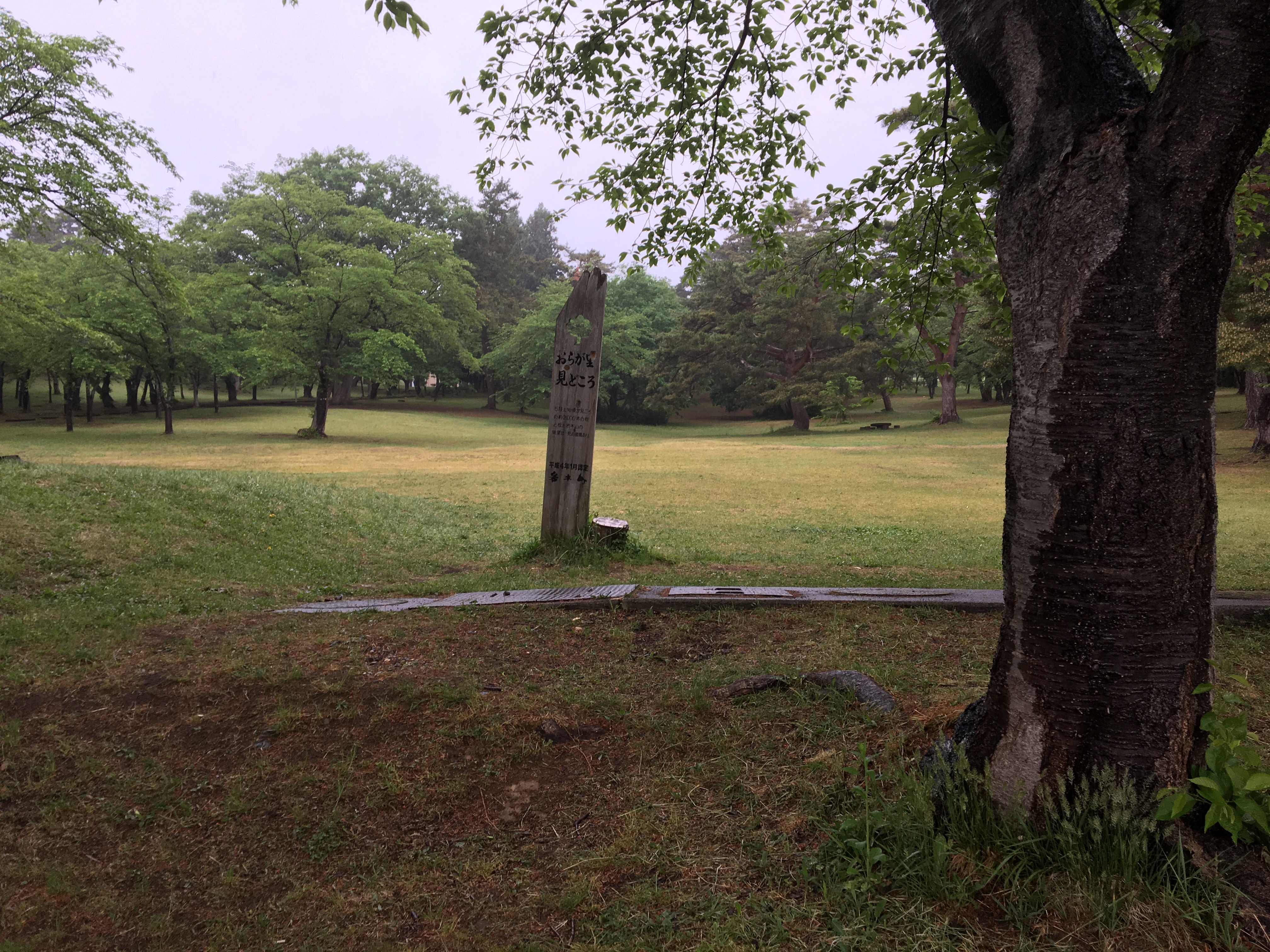 img_7579｜車やキャンプや車、ファッションに30からハマってます